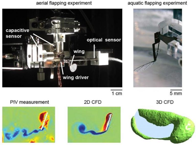 Soft and Micro Robotics Laboratory - Flapping wing aerodynamics