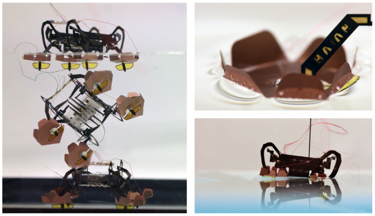 Soft and Micro Robotics Laboratory - Hybrid terrestrial-aquatic microrobot