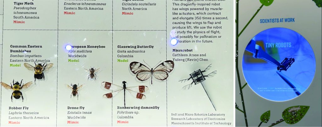 Soft and Micro Robotics Laboratory - Outreach
